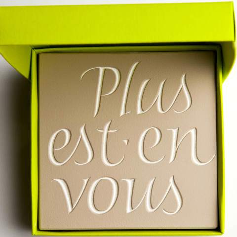 “PLUS EST EN VOUS” EEN LEUZE (DIE VAN DE BRUGSE HEREN VAN GRUUTHUSE) IS ...