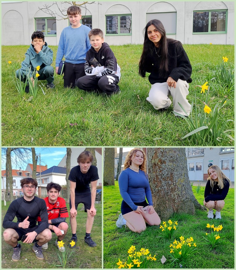 Maerlantkrant – Reilen en zeilen in de Blankenbergse GO! scholen